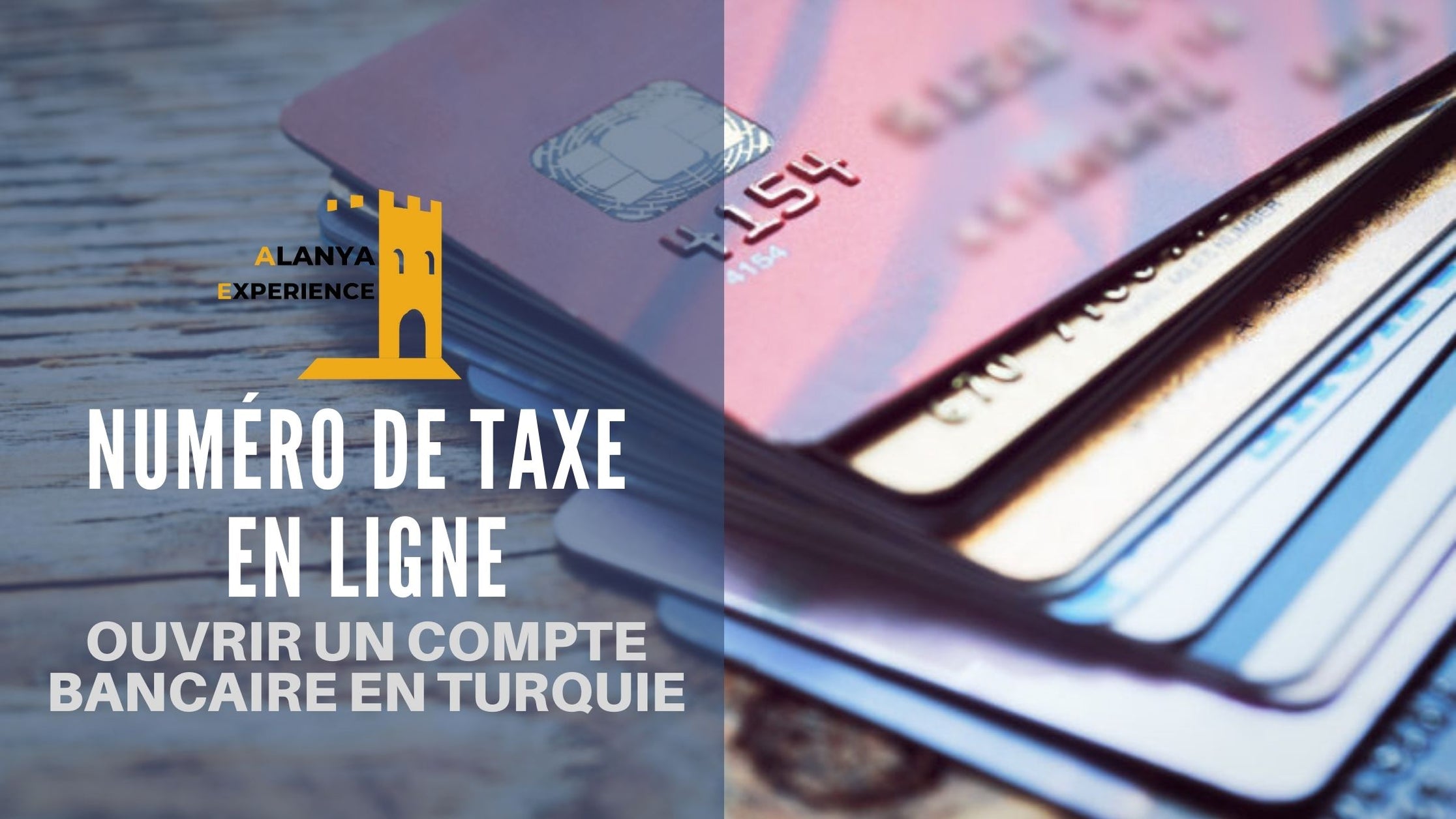 Comment obtenir son numéro d'identification fiscale en Turquie ...